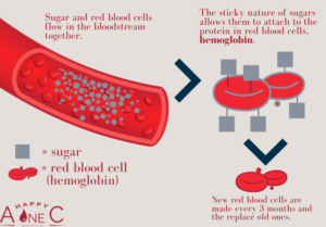 Understanding Your A1C Lab - A Happy AOneC